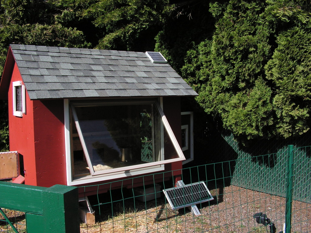Our DIY Hen House Fibonacci Style - VegetableGardenHub.com